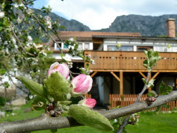 Cazare Rimetea - Pensiunea Dr. Demeter Bela - Judetul Alba