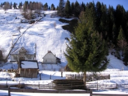 Prezentare in imagini: descriere, poze, harta, cazare, atractii ...
