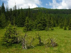 Prezentare in imagini: descriere, poze, harta, cazare, atractii ...