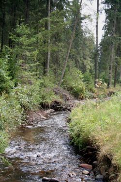 Prezentare in imagini: descriere, poze, harta, cazare, atractii ...