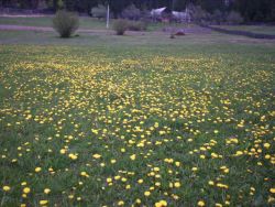 Prezentare in imagini: descriere, poze, harta, cazare, atractii ...