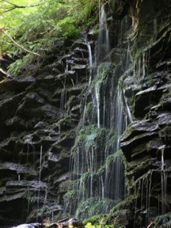 Prezentare in imagini: descriere, poze, harta, cazare, atractii ...