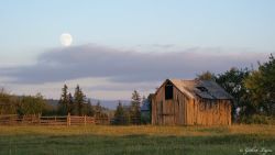 Prezentare in imagini: descriere, poze, harta, cazare, atractii ...