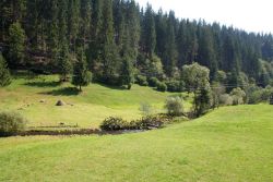 Prezentare in imagini: descriere, poze, harta, cazare, atractii ...