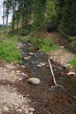 Prezentare in imagini: descriere, poze, harta, cazare, atractii ...